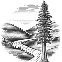 Redwood Strategies – Grounded solutions for the public and private sector.